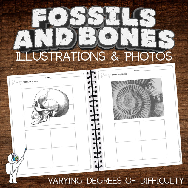 Fossil & Bones Art Worksheets - Visual Art Student Drawing Workbook – A ...